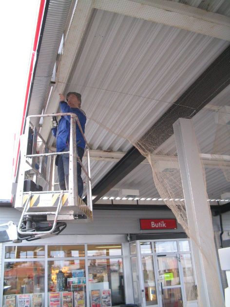 Residential Bird Control Services Singapore - Anticimex